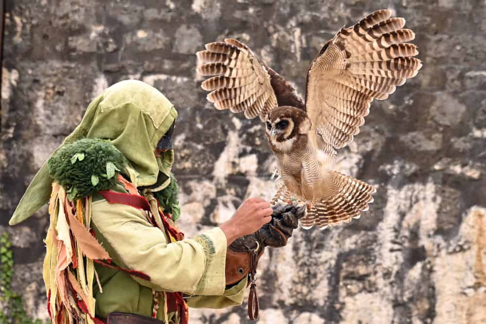 Tous aux Spectacles - Provins Tourisme, entre Bassée, Montois et Provinois